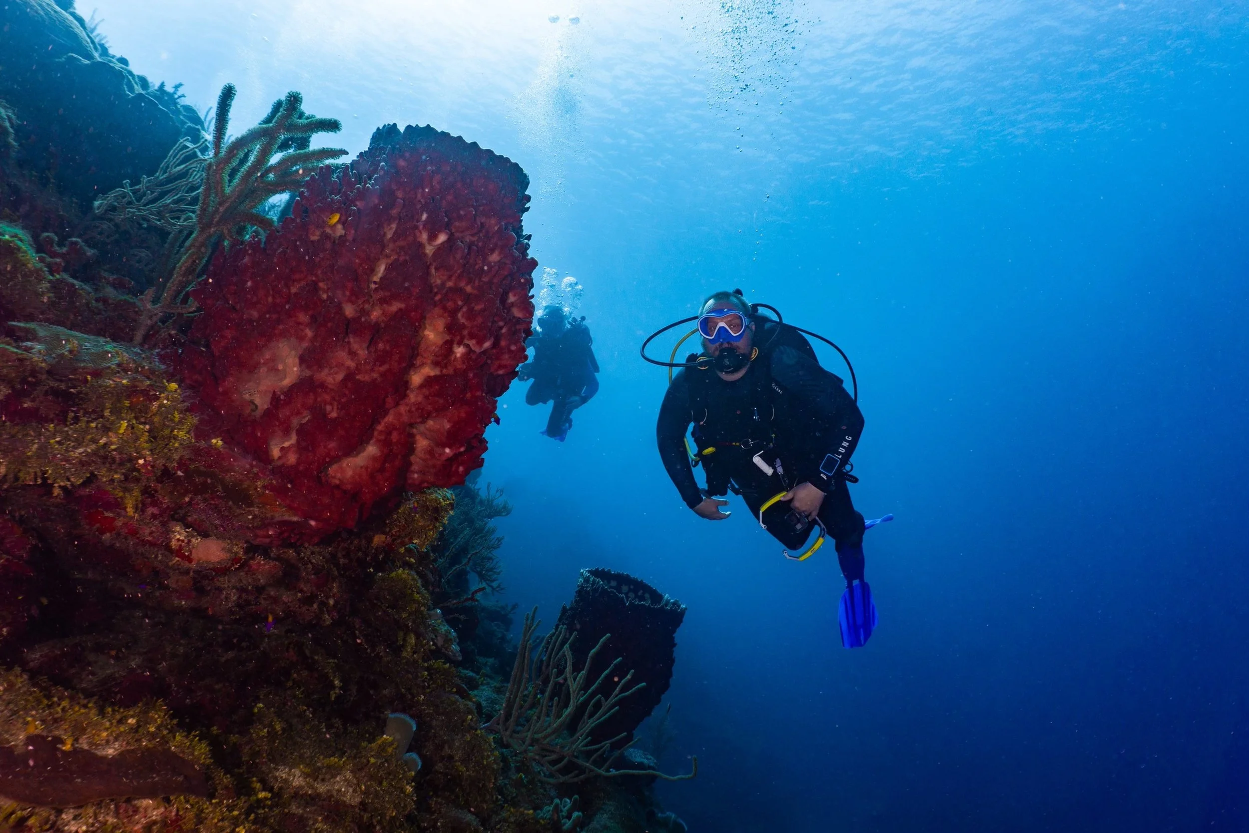Nashville's Premier Dive Center - Scuba Shack