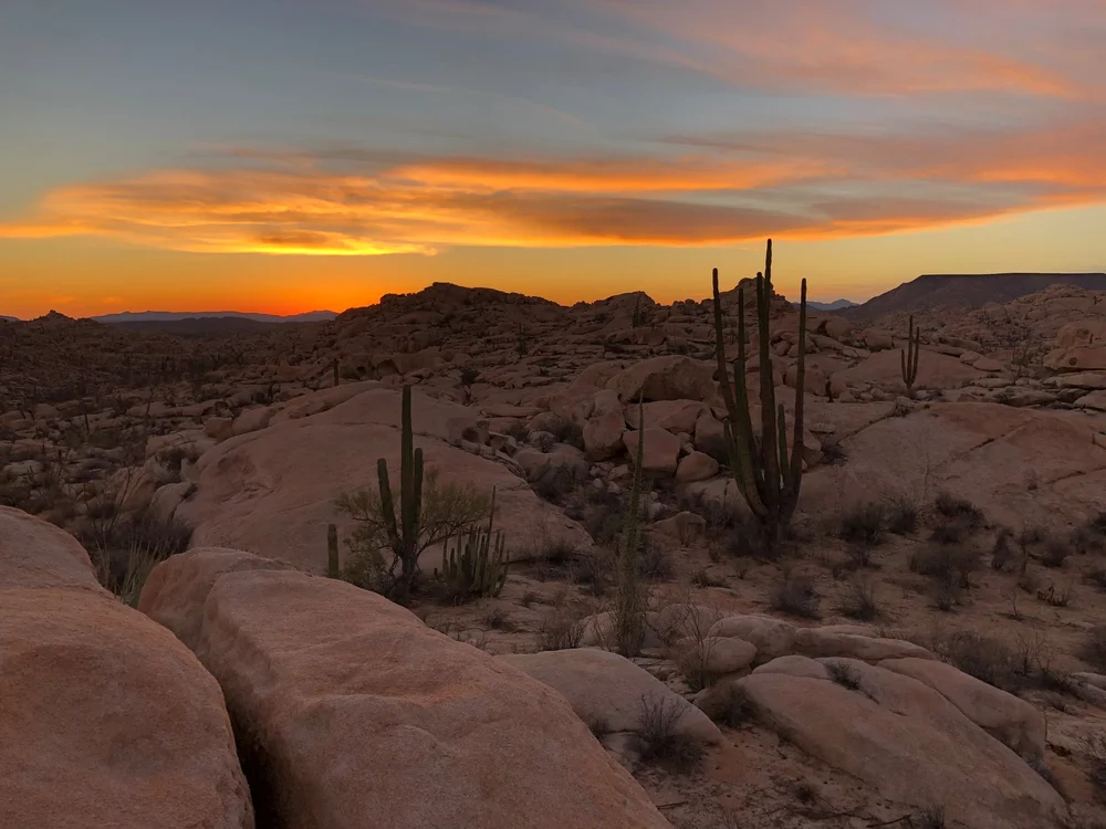 No Wimps in Baja — Malcolm Smith Adventures