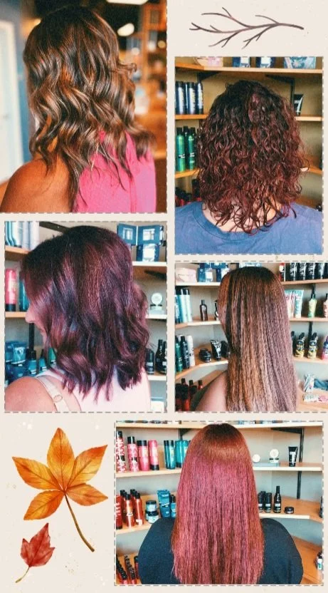 Shear Concepts Hair & Tanning