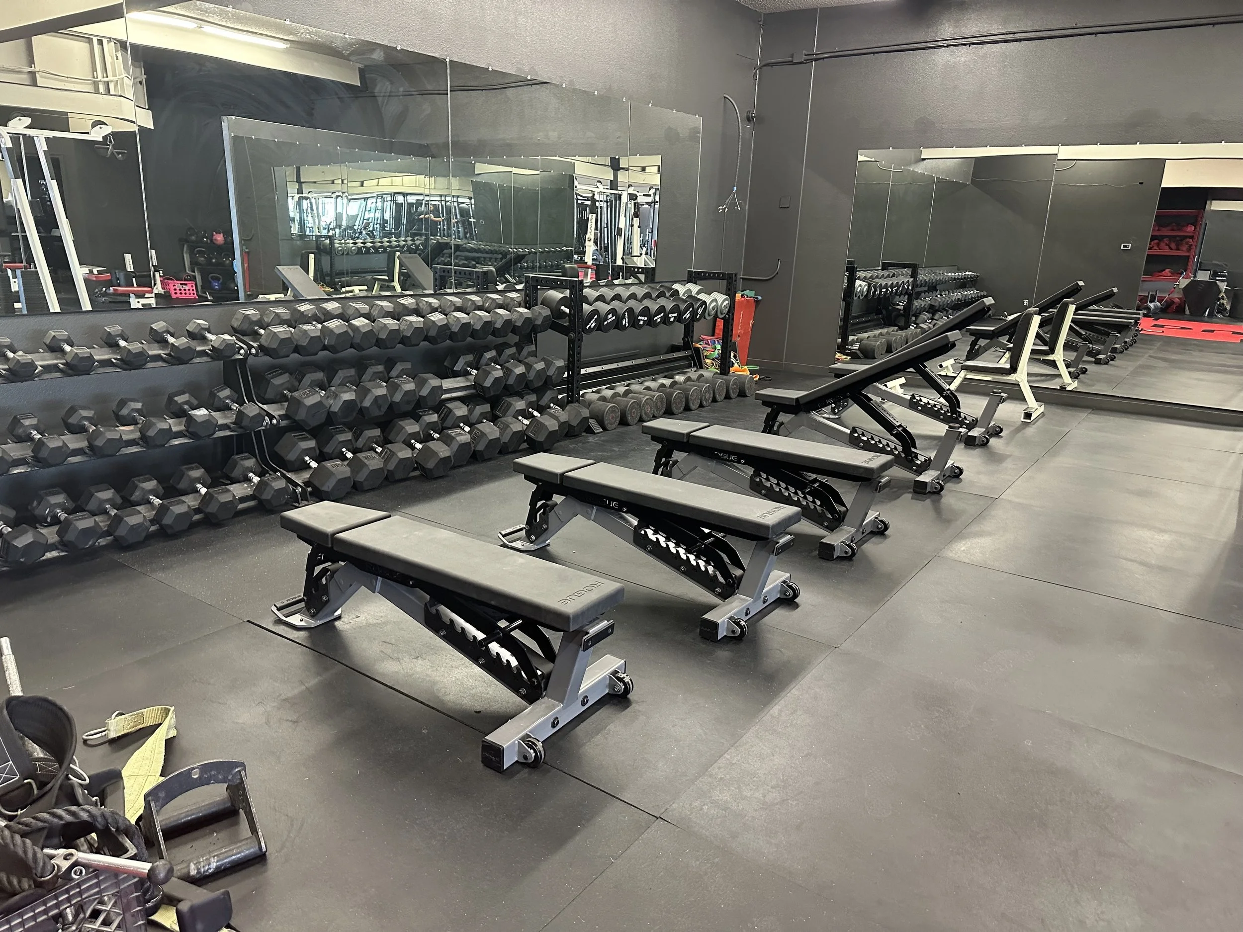 About — Dungeon Strength RX