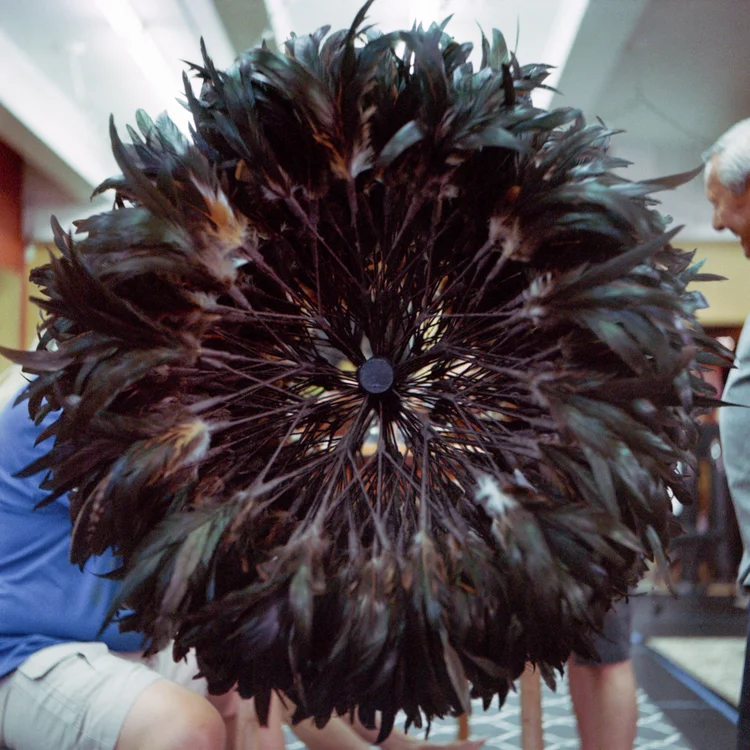 Making of Hawaiian Feather Kahili | Kodak Portra 800 — LISA K CHO