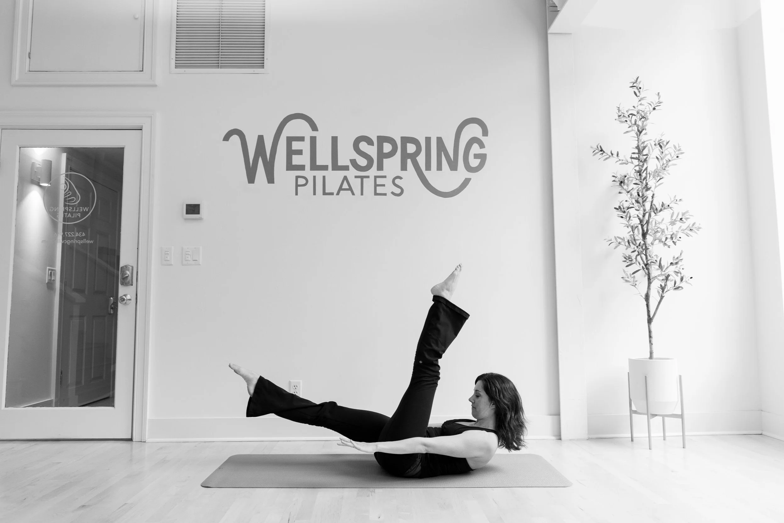 Classes and Sign Up — Wellspring Pilates