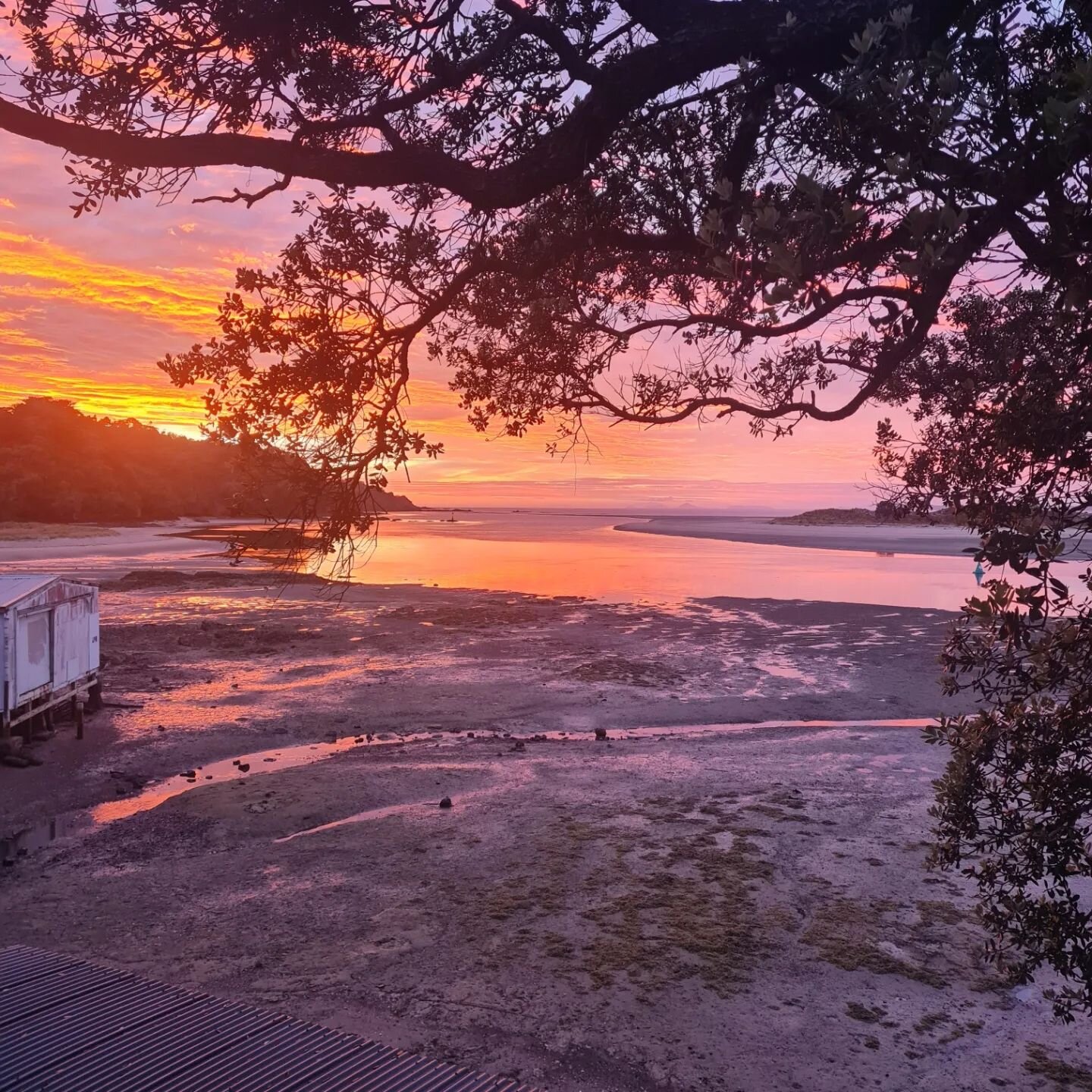 Book — Kate Parker