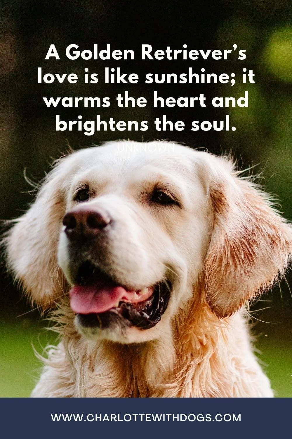 My Favorite Quotes About Dogs — Charlotte Lehman