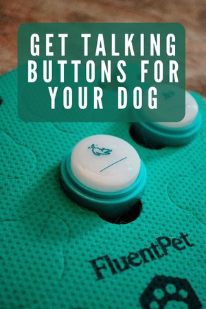 Canine AAC Buttons for Dogs: Don't Start with a Food Word Button for ...