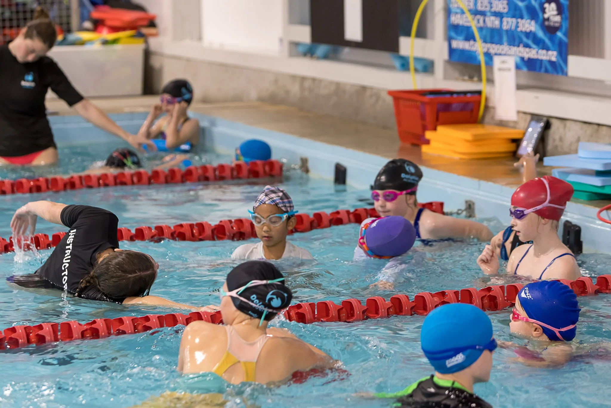 Quality Pool — Dolphin Academy