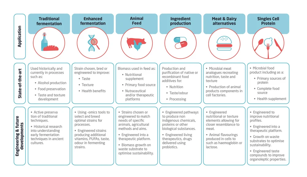 Precision Fermentation - Fermenting the future — ECBF
