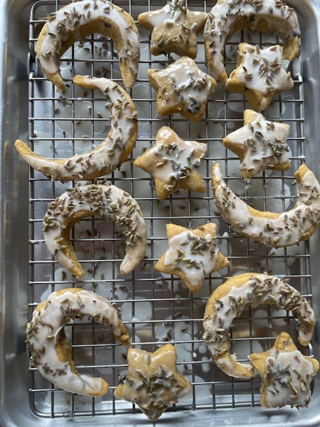 Store 1 — WHOLEIFY