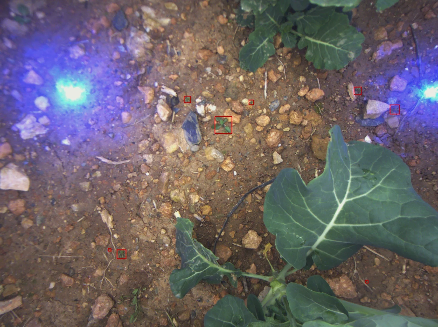 CLAWS Autonomous Farming Robot — Earth Rover