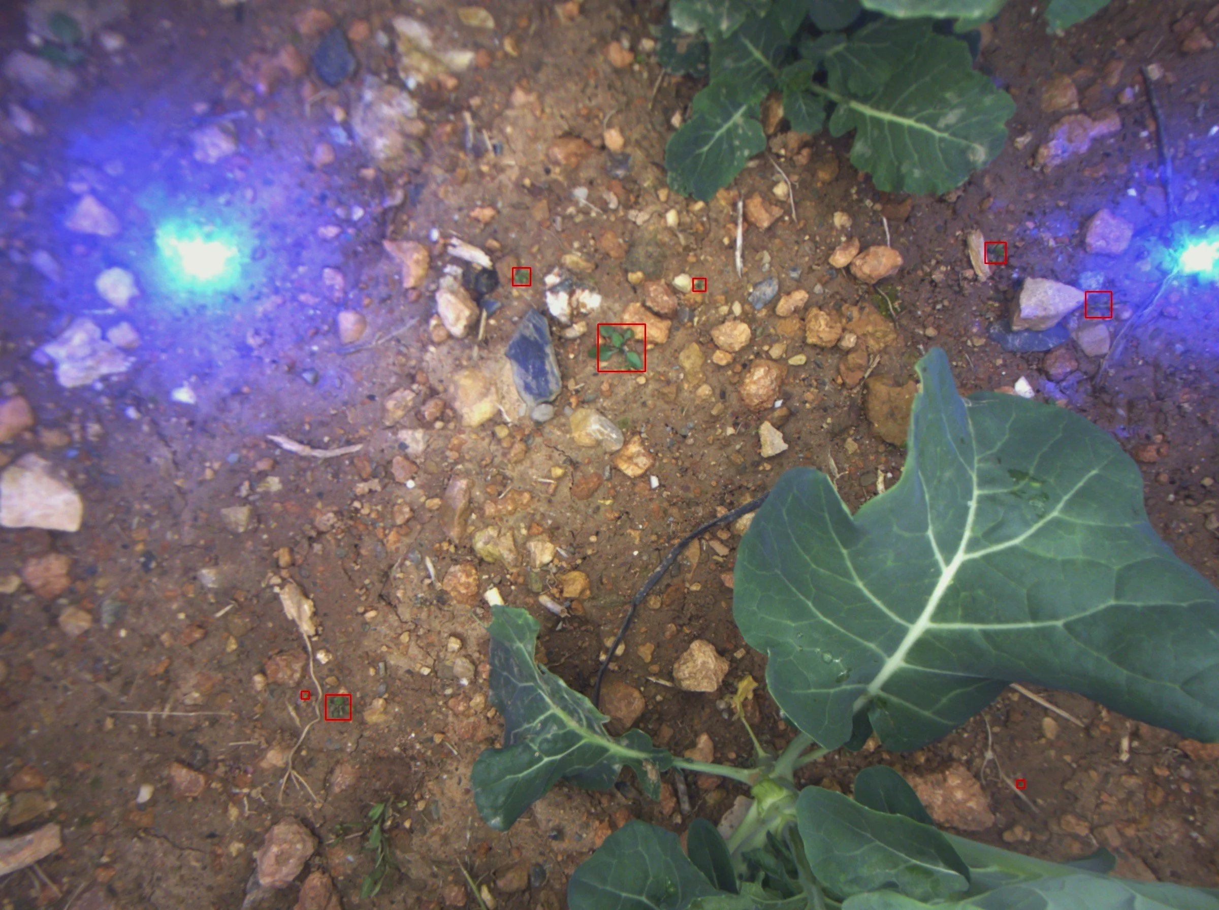 CLAWS Autonomous Farming Robot — Earth Rover