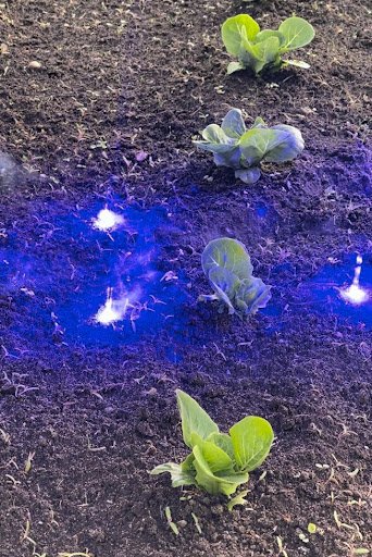 CLAWS Autonomous Farming Robot — Earth Rover