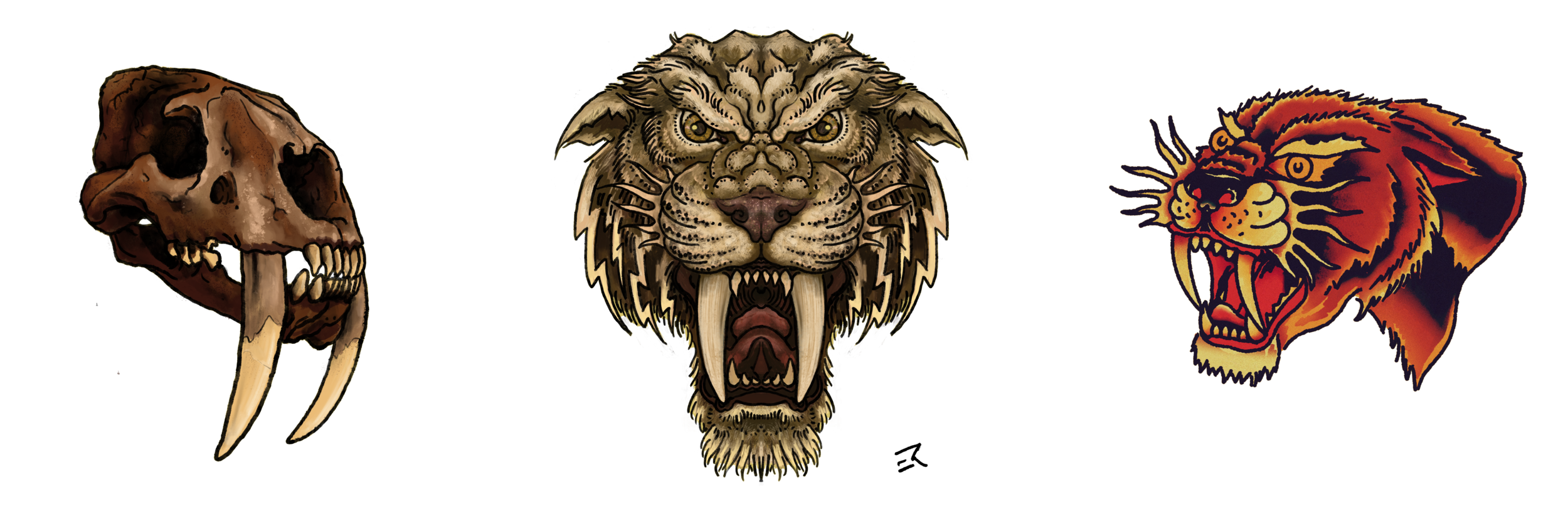 Saber Tooth Tattoos Saber Tooth Tattoo