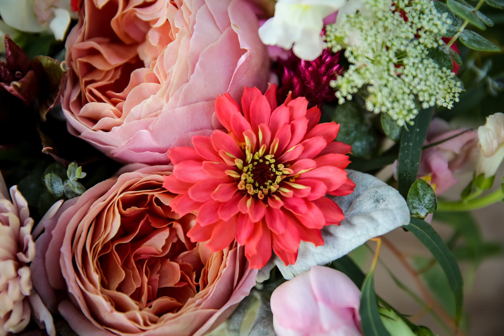 Lily Rose Fresh Cut Flowers