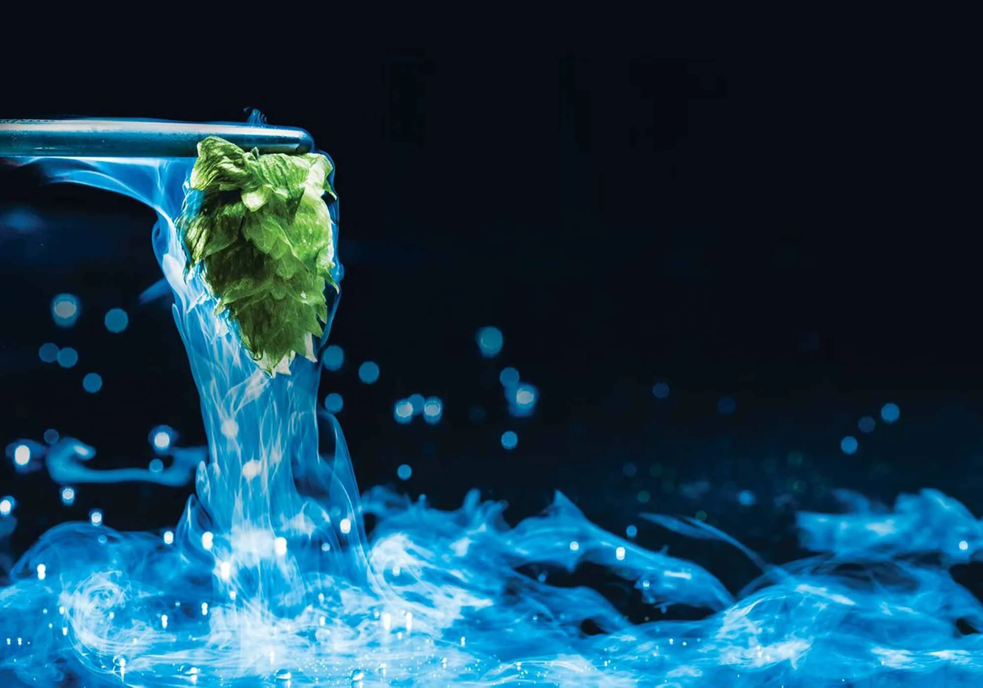 Yakima Chief obtains patent on Cryo Hops — New School Beer + Cider