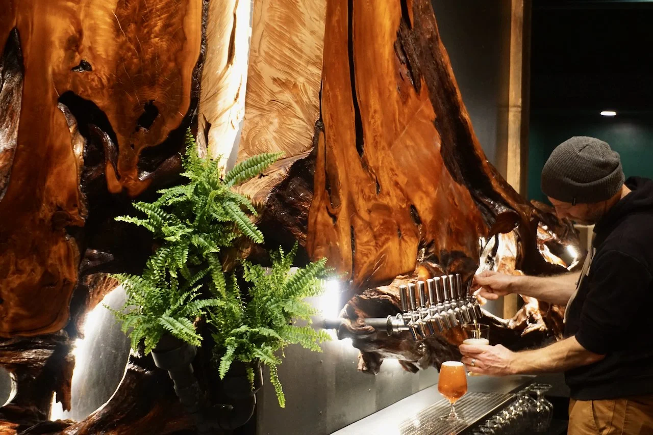 Taphouses are ubiquitous; But bars like Cider & Cedar are rare — New ...