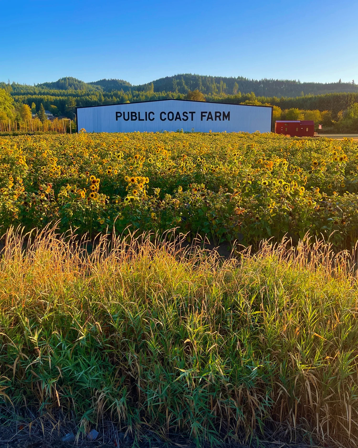 Public Coast Brewing Farm on the Oregon Coast opens for 2025 season ...