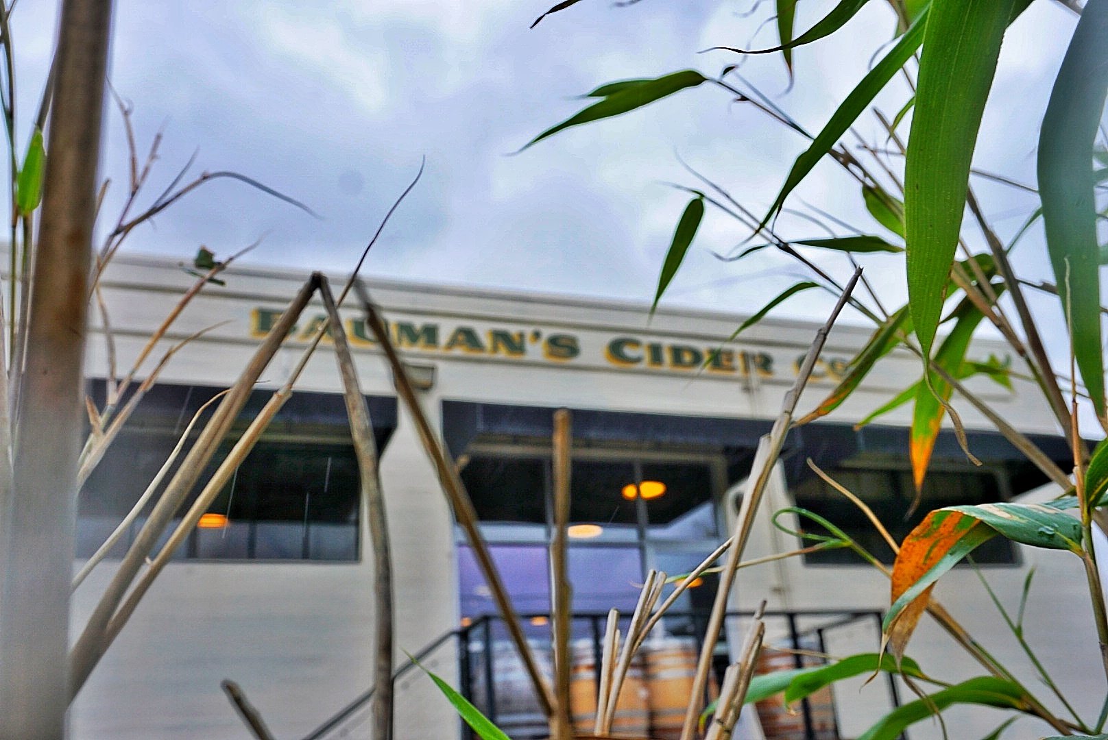 First look at ‘Bauman’s Cider on Oak’ Portland cidery and restaurant ...