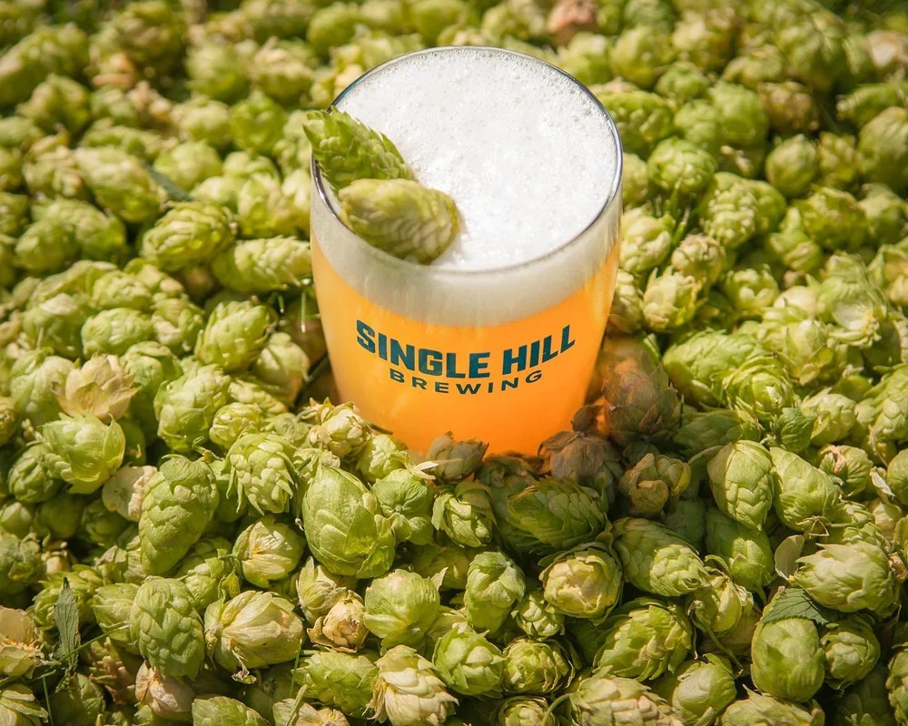 Fresh Hop Pop-Up Beer Fest returns for 17 straight days of hop harvest ...