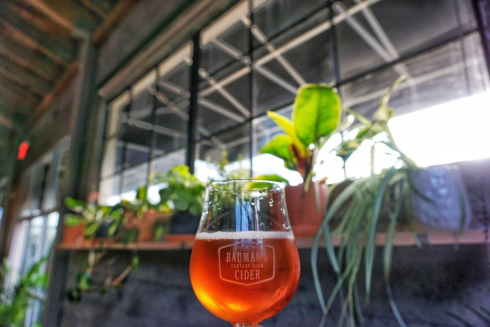 First look at ‘Bauman’s Cider on Oak’ Portland cidery and restaurant ...