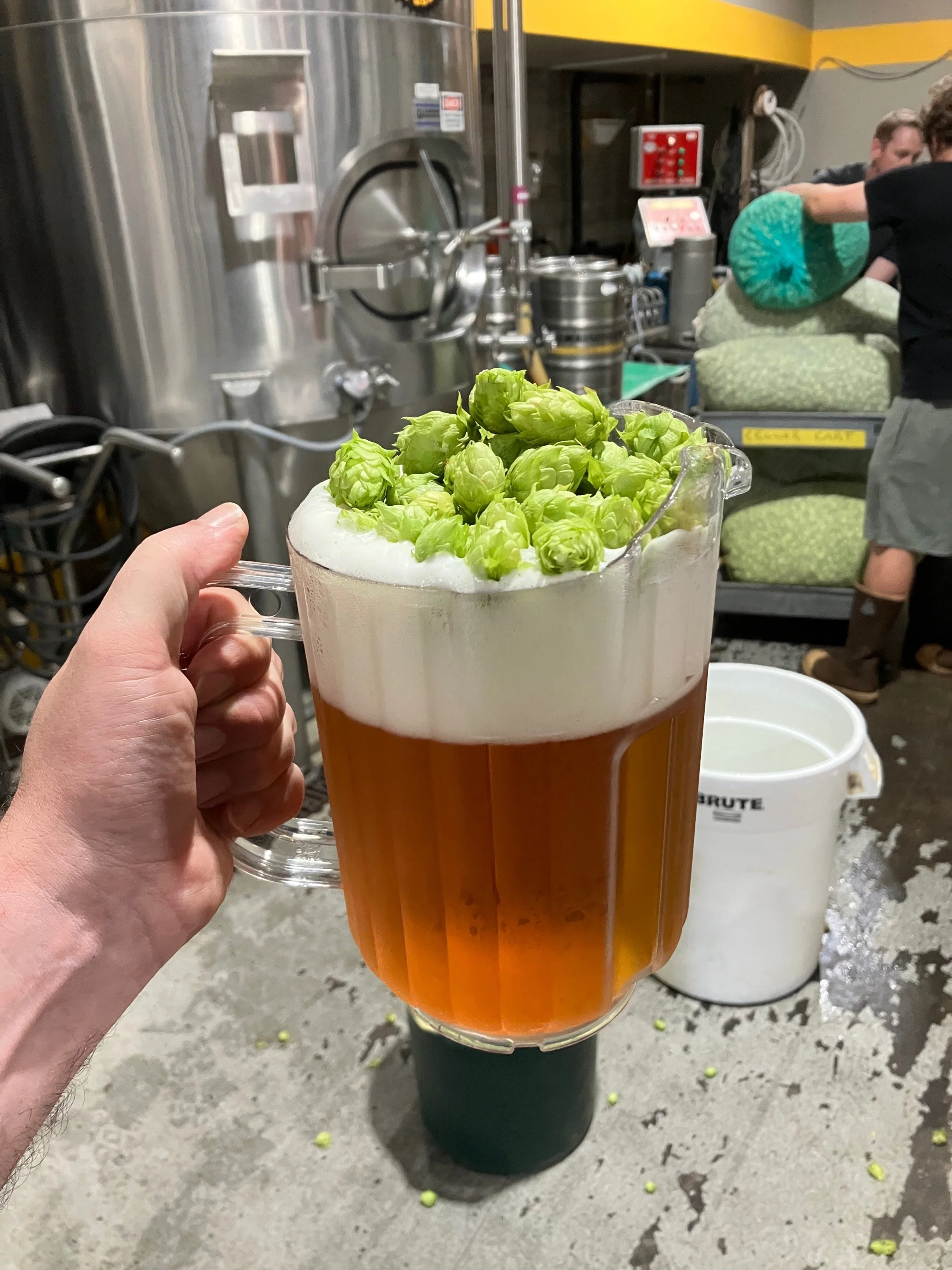 Hopworks releasing 3 Fresh Hop beers this season — New School Beer + Cider