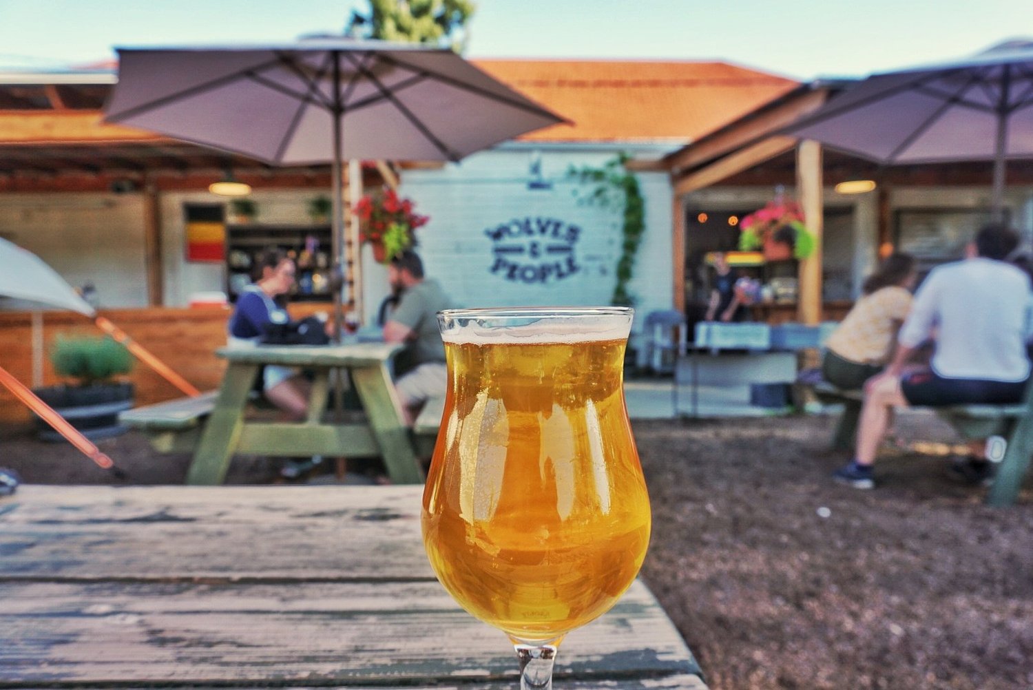 New School Beer + Cider