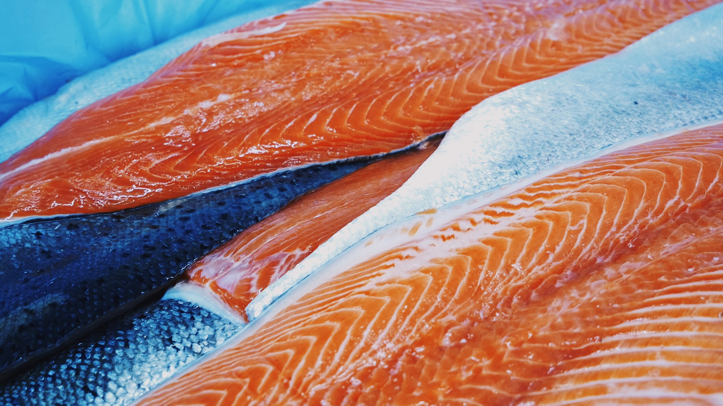 Seafood Products — Maximum Seafood