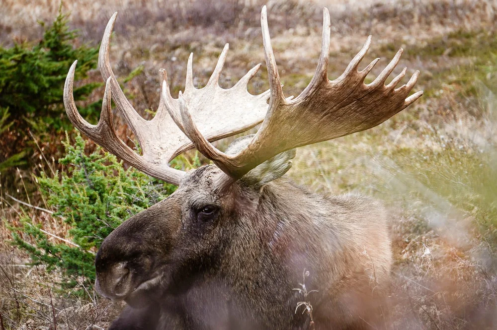 Visiting Alaska in September — Handpicked Alaska