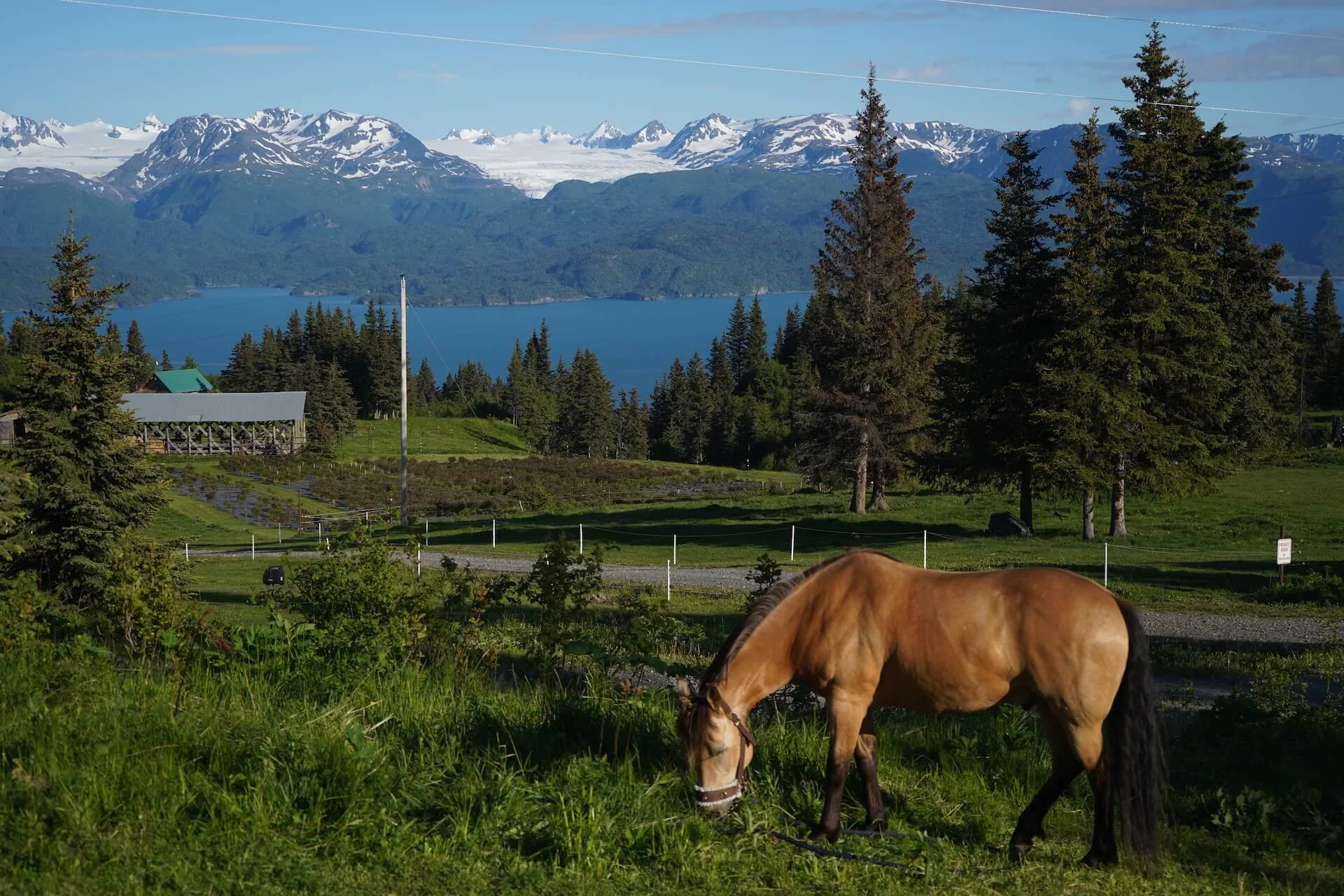 Best Time to Visit Alaska - When to Travel to Alaska — Handpicked Alaska