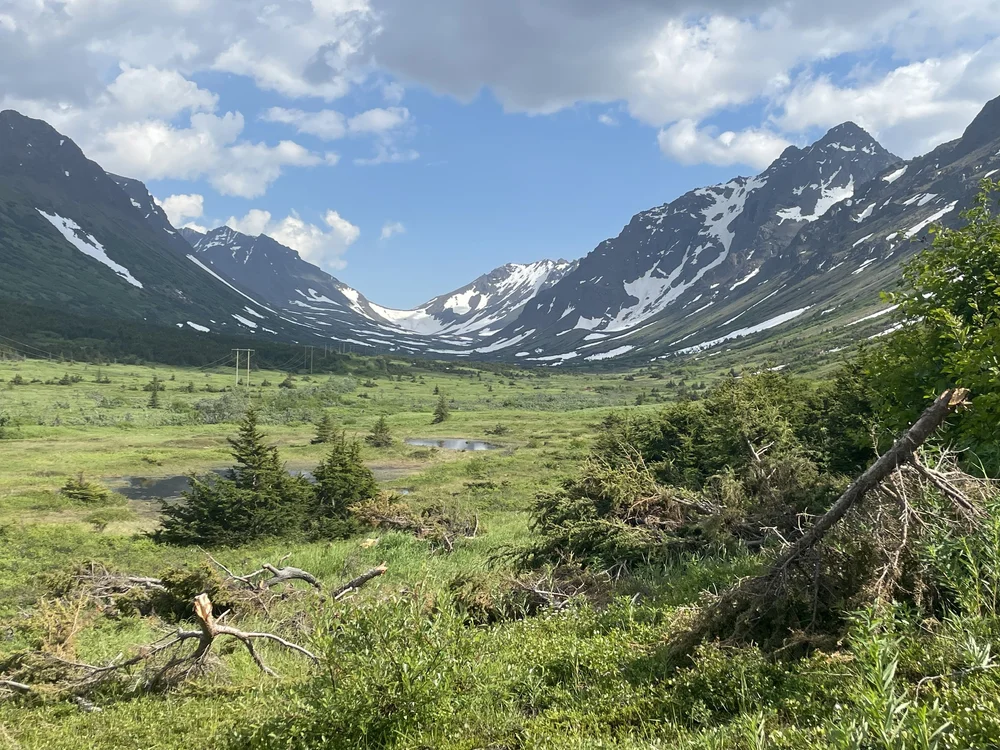 What to Do in Anchorage - Best Activities and Locations 2025 ...