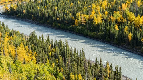 Visiting The Matanuska Glacier — Handpicked Alaska