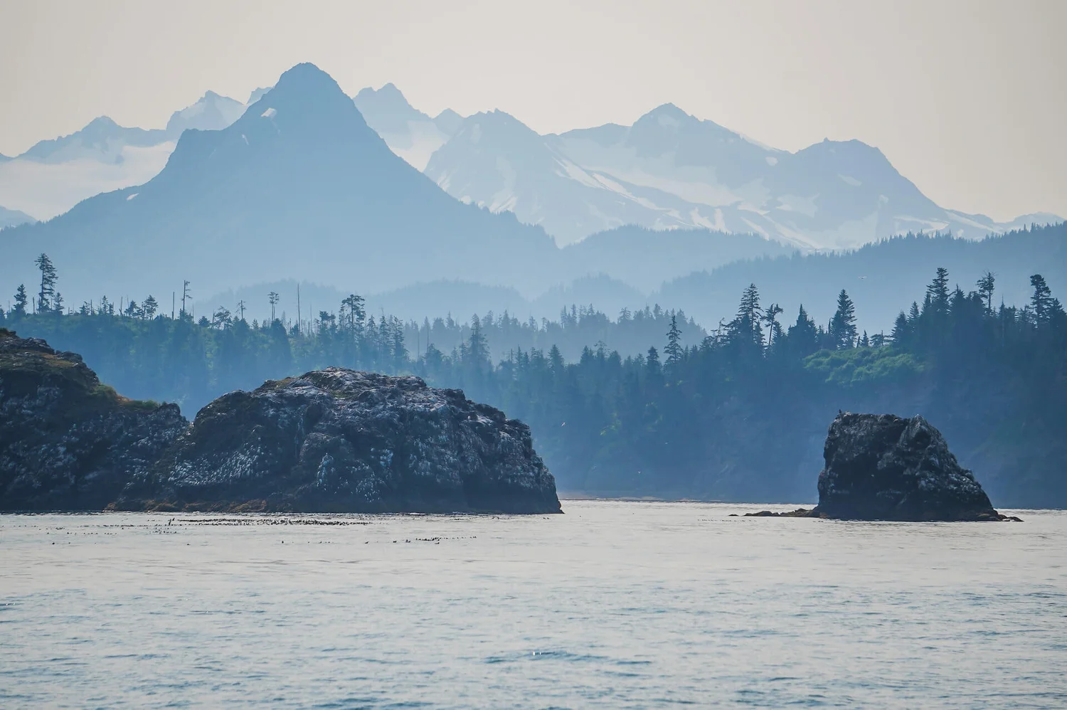 How to Spend 1, 2 or 3 Days in Homer — Handpicked Alaska