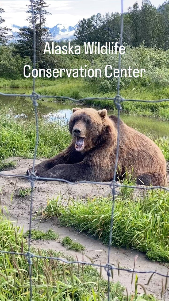 Handpicked Alaska - Customized Self-Drive Travel in Alaska