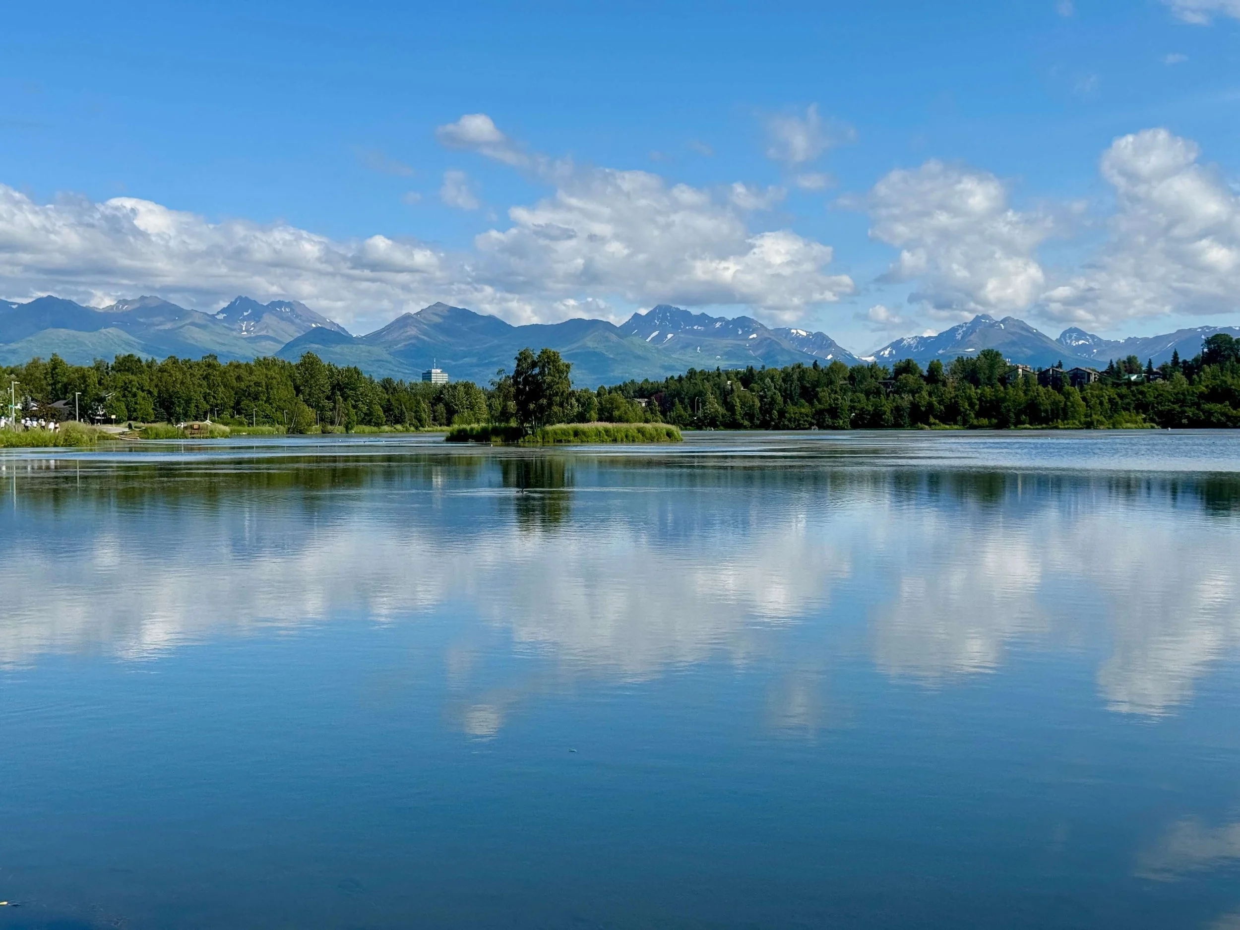 Mosquitoes in Alaska: What Travelers Need to Know — Handpicked Alaska