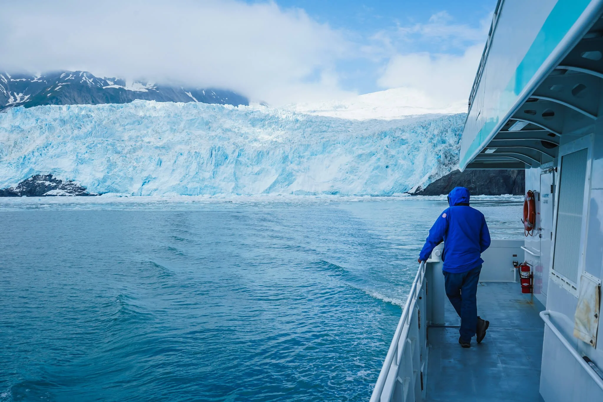 Best Kenai Fjords Boat Tours from Seward - All You Need to Know ...
