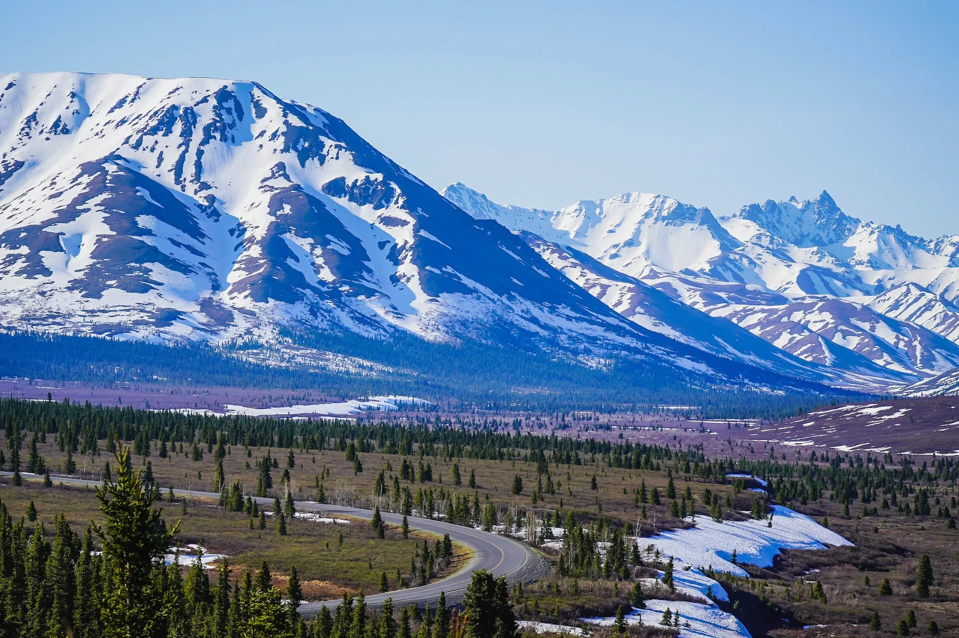 Plan Your Visit in Denali National Park 2025 Update — Handpicked Alaska