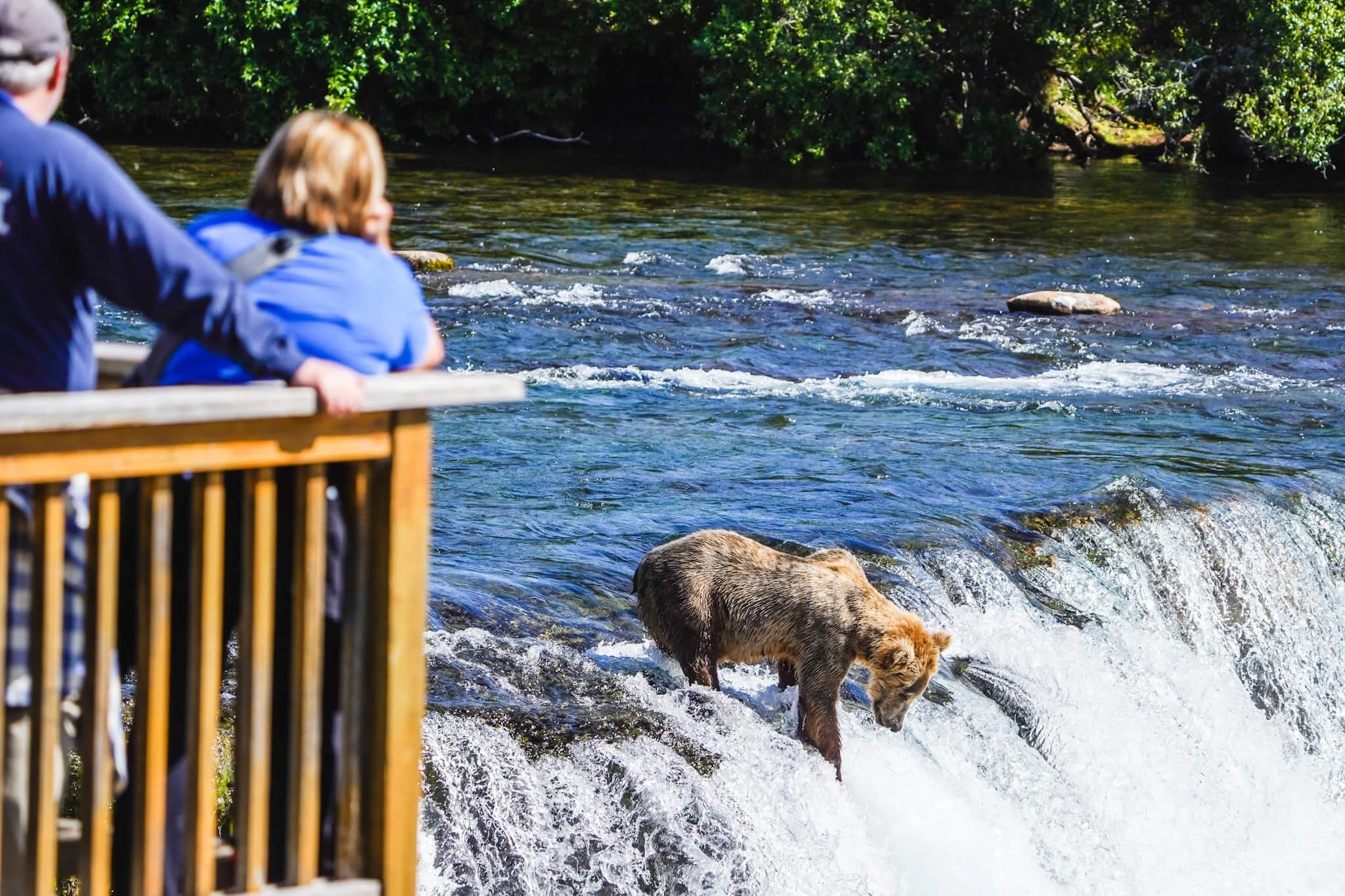 Visiting Alaska in June — Handpicked Alaska