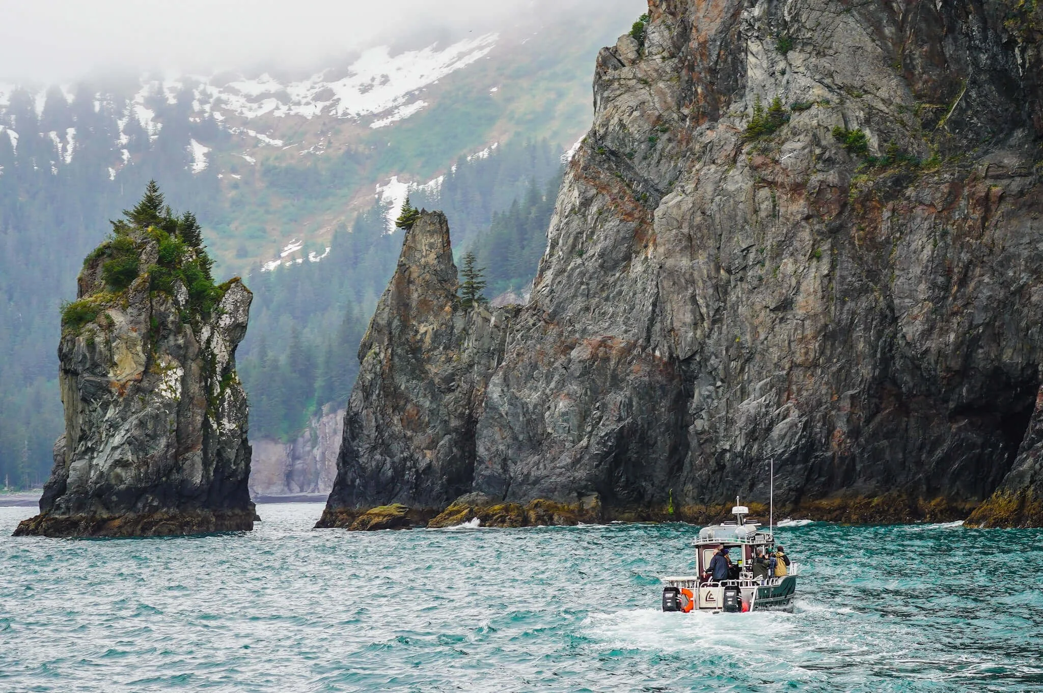 How to Choose the Best Kenai Fjords NP Tour — Handpicked Alaska