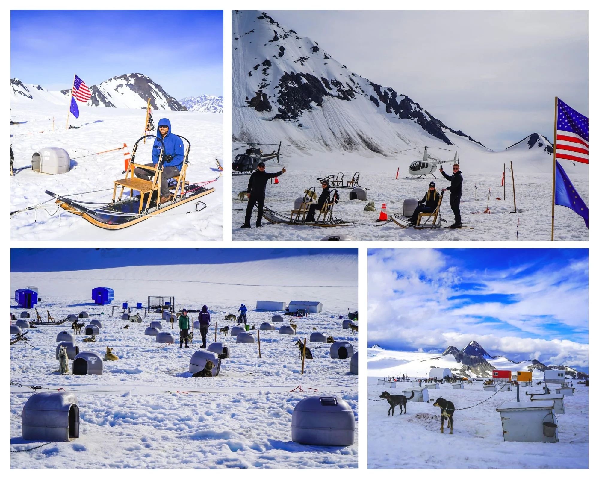 Best Helicopter & Glacier Dogsled Tours in Alaska - Complete Guide ...
