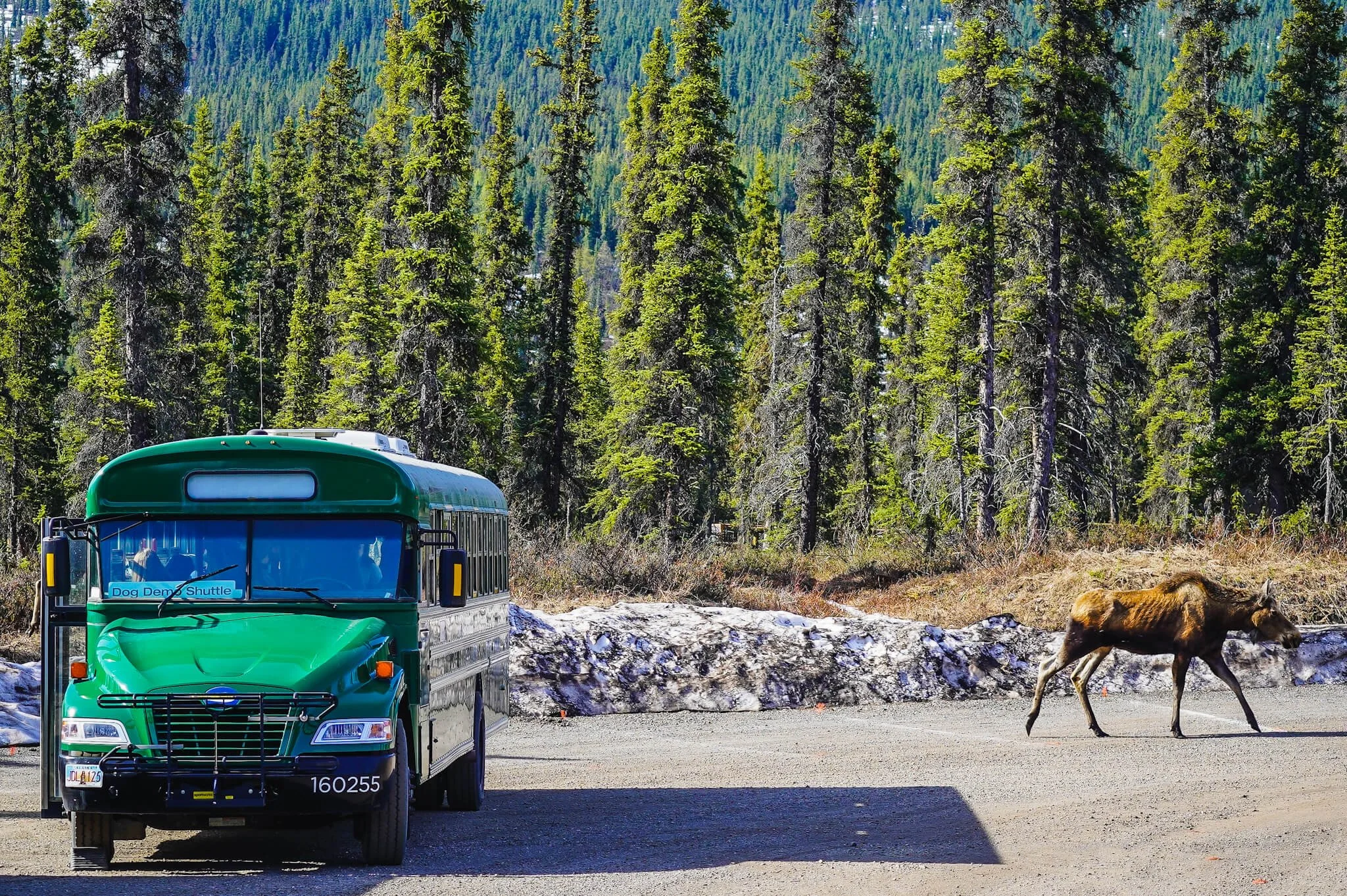 Visiting Alaska in May — Handpicked Alaska