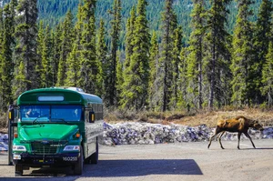 Visiting Alaska in May — Handpicked Alaska