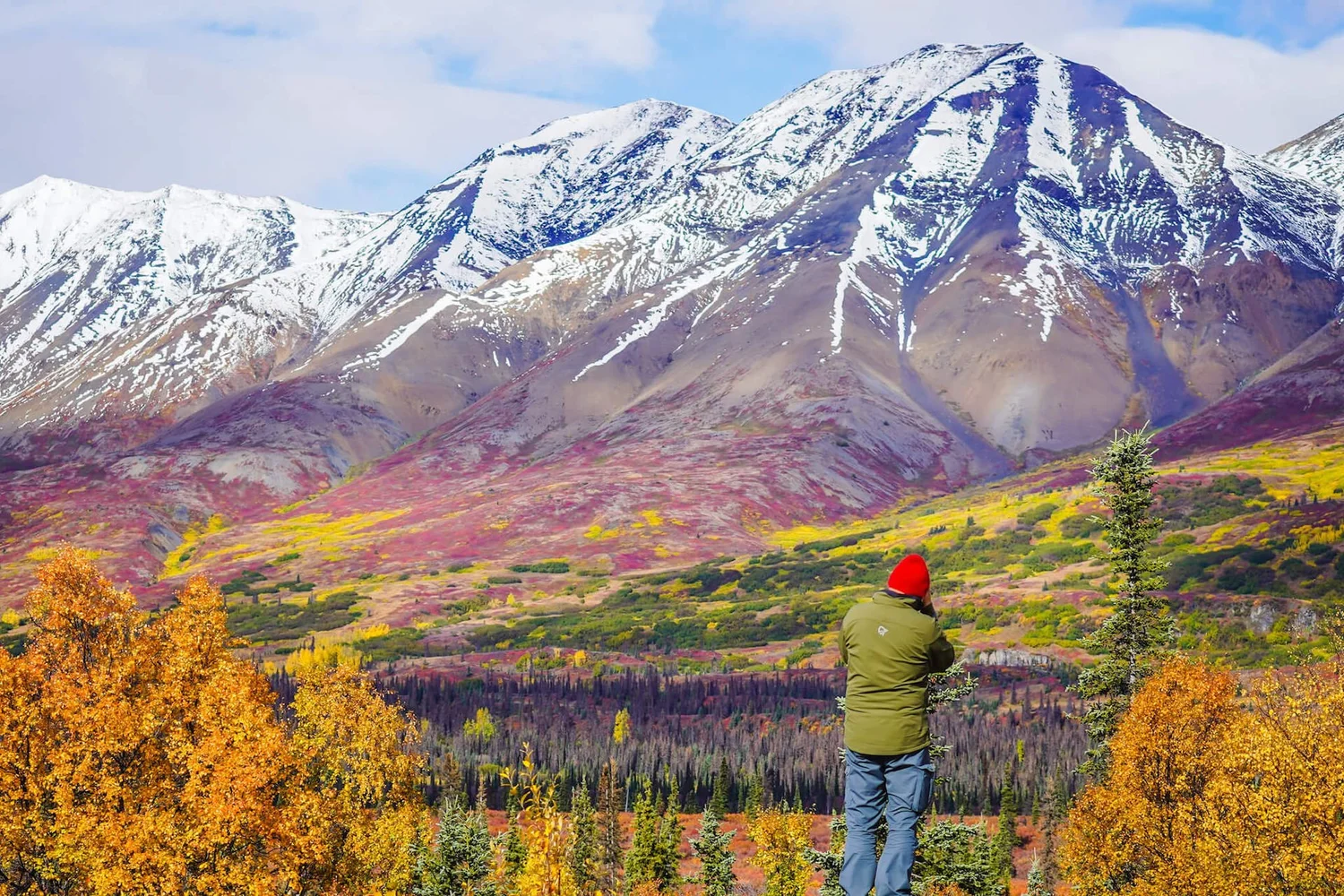 Plan Your Visit in Denali National Park 2025 Update — Handpicked Alaska
