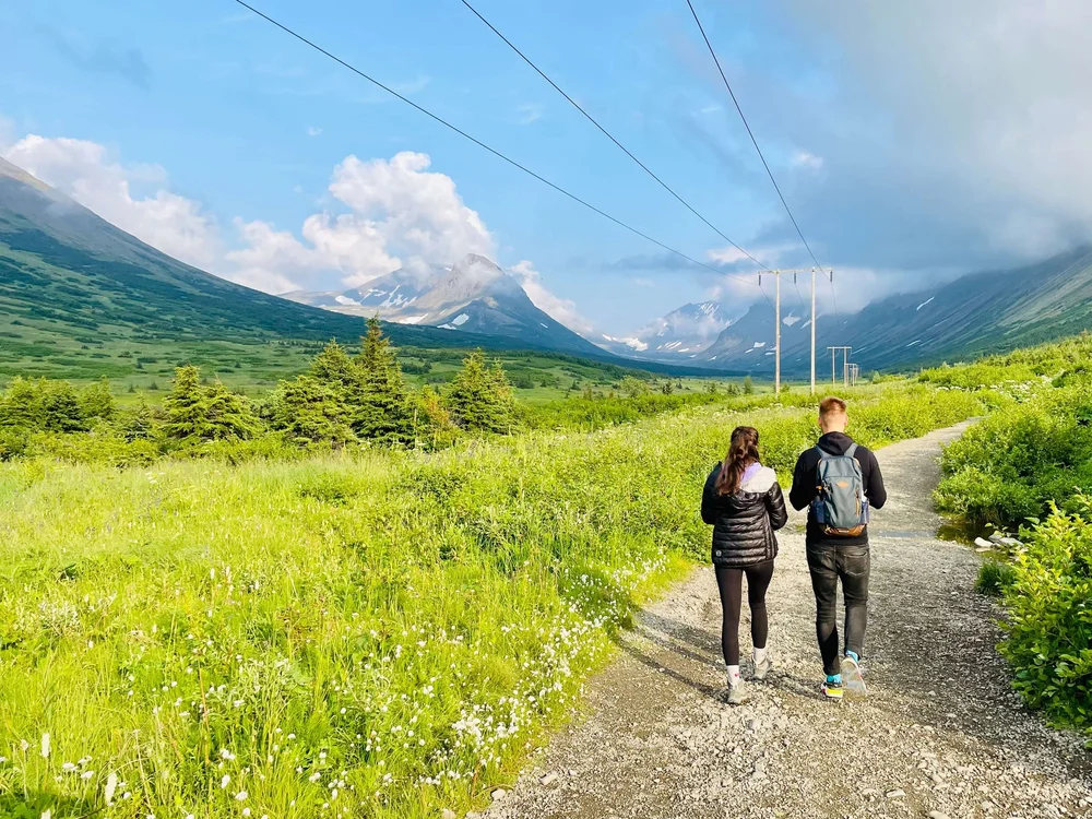 Mosquitoes in Alaska: What Travelers Need to Know — Handpicked Alaska