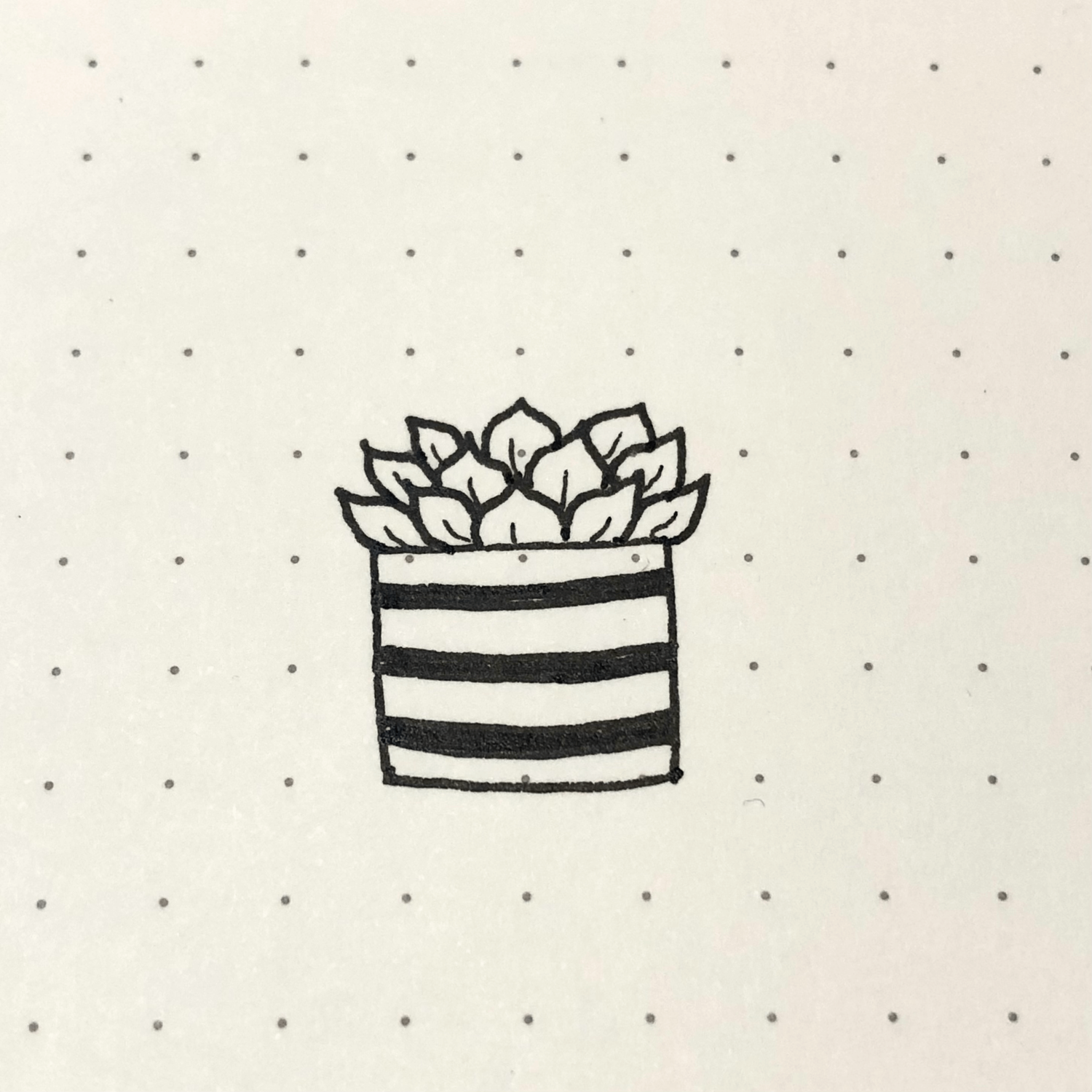 How to Draw a Succulent in 6 Easy Steps — Joyful Journaler