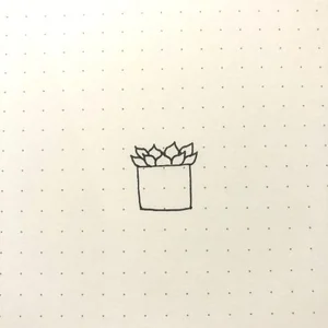 How to Draw a Succulent in 6 Easy Steps — Joyful Journaler