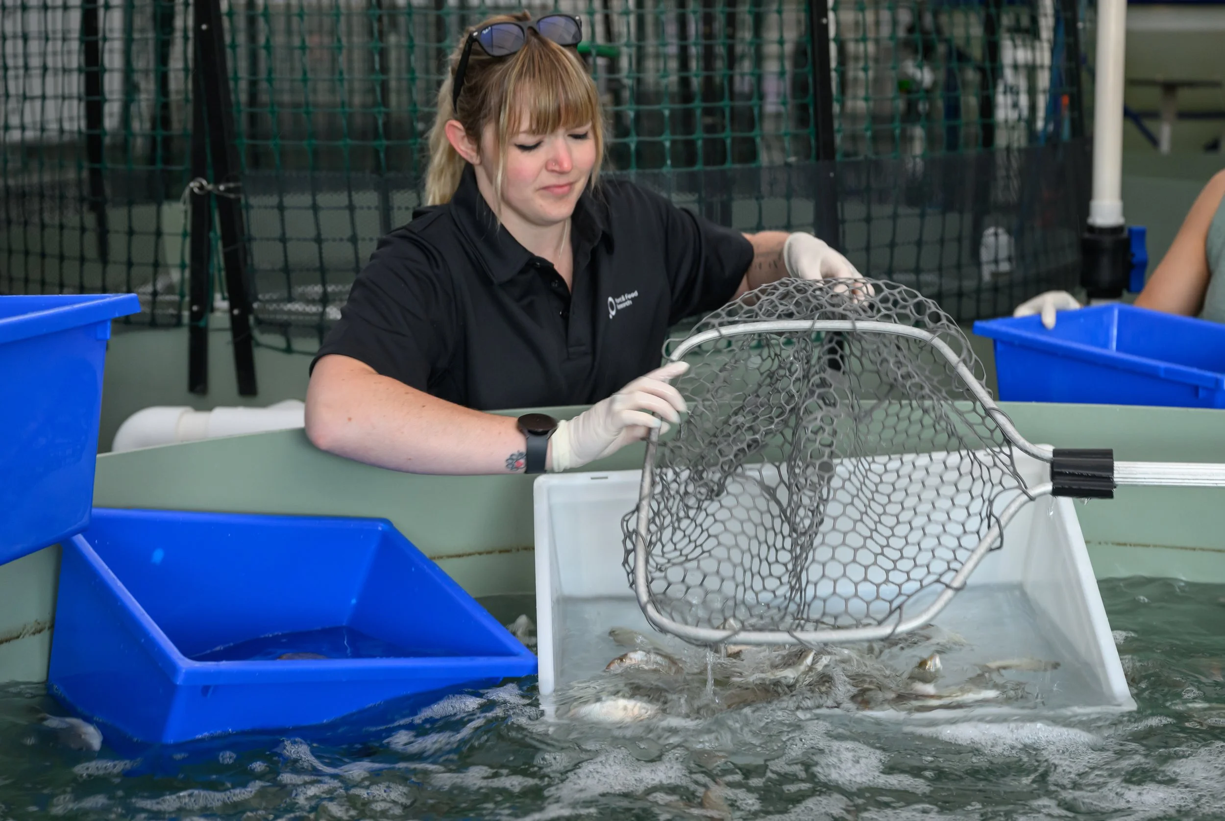 RAS Lead Technician — Aquaculture New Zealand