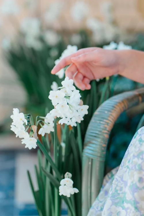 California Flower Calendar — Kamarin Ann Photography