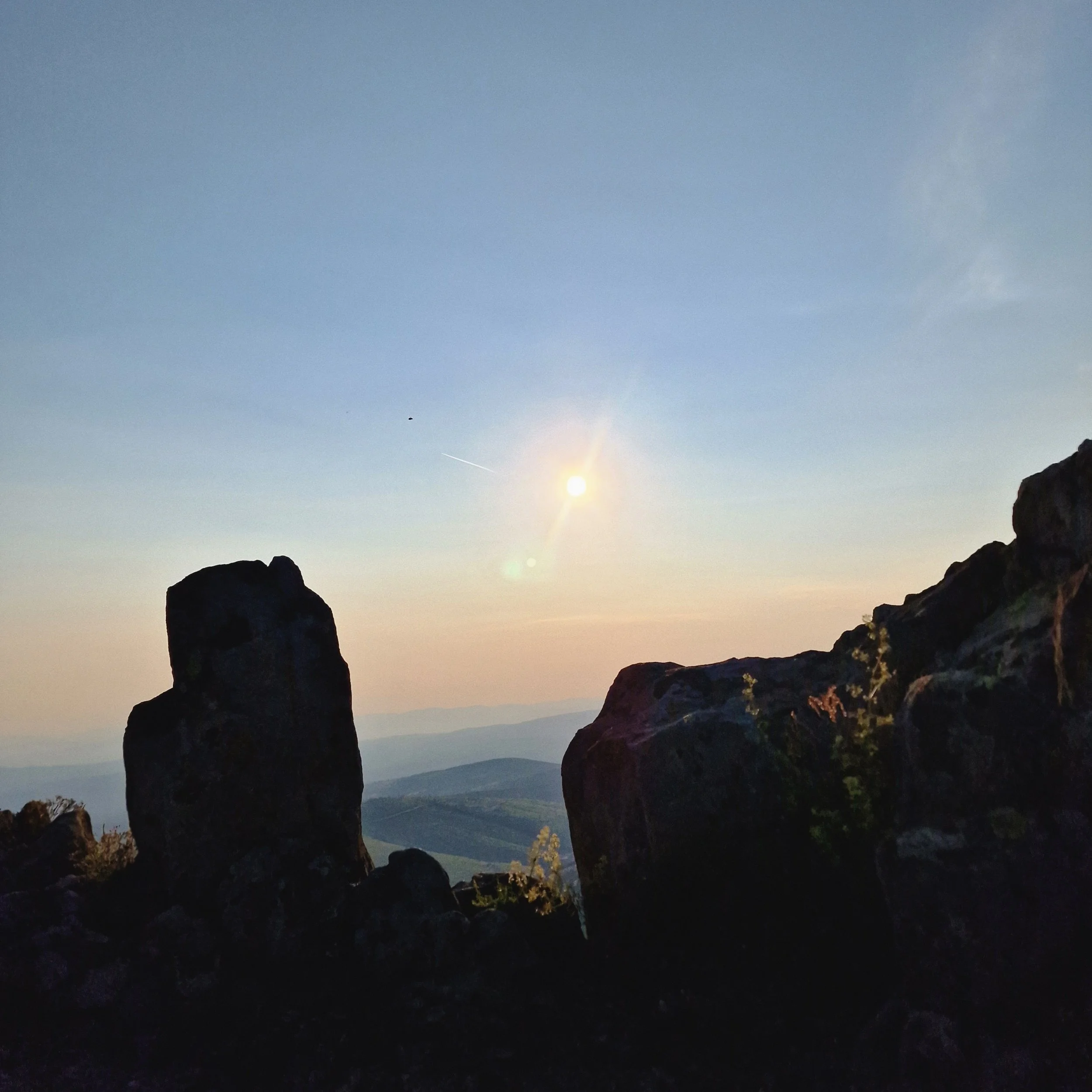 Blog — Mojca Fo Art