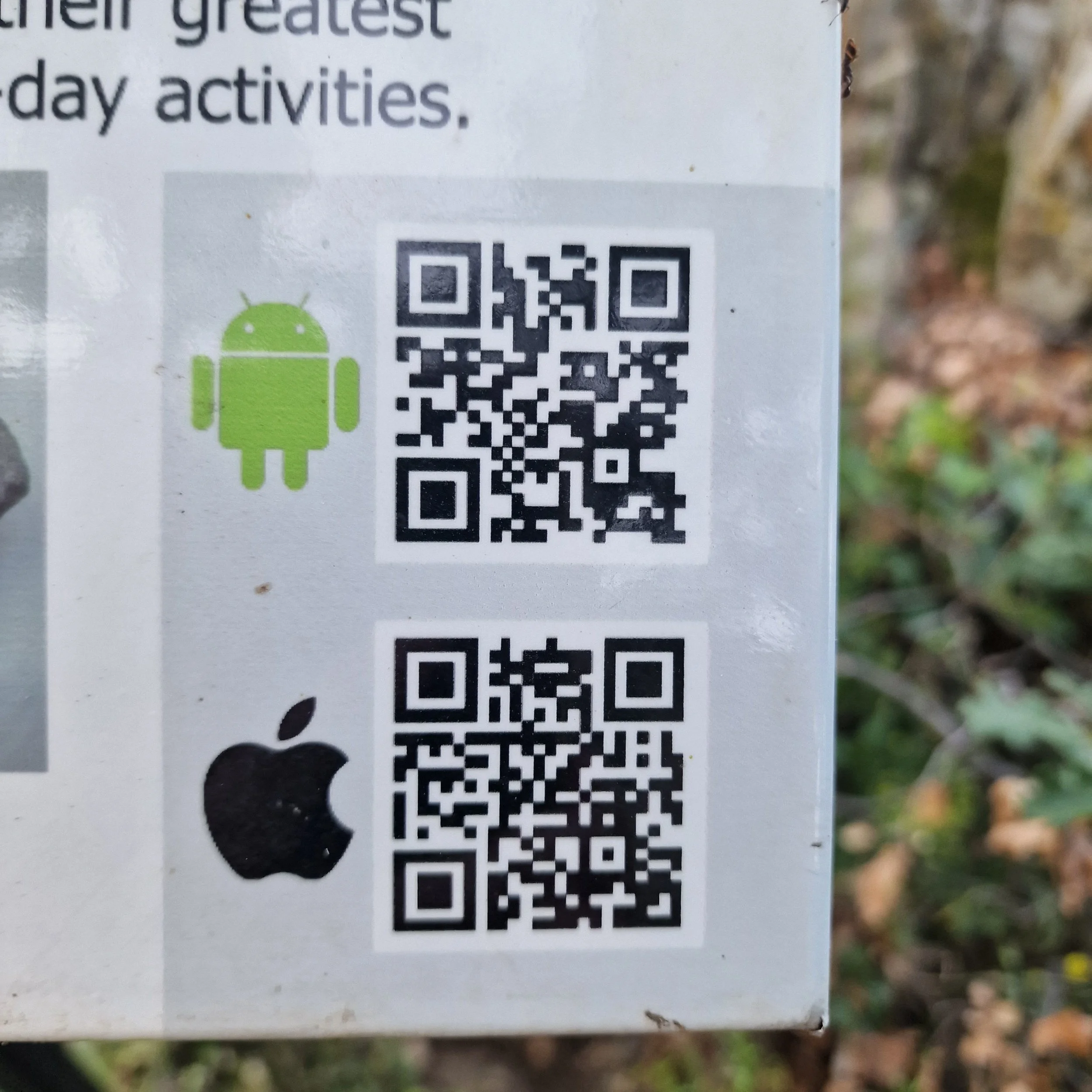 Blog — Mojca Fo Art