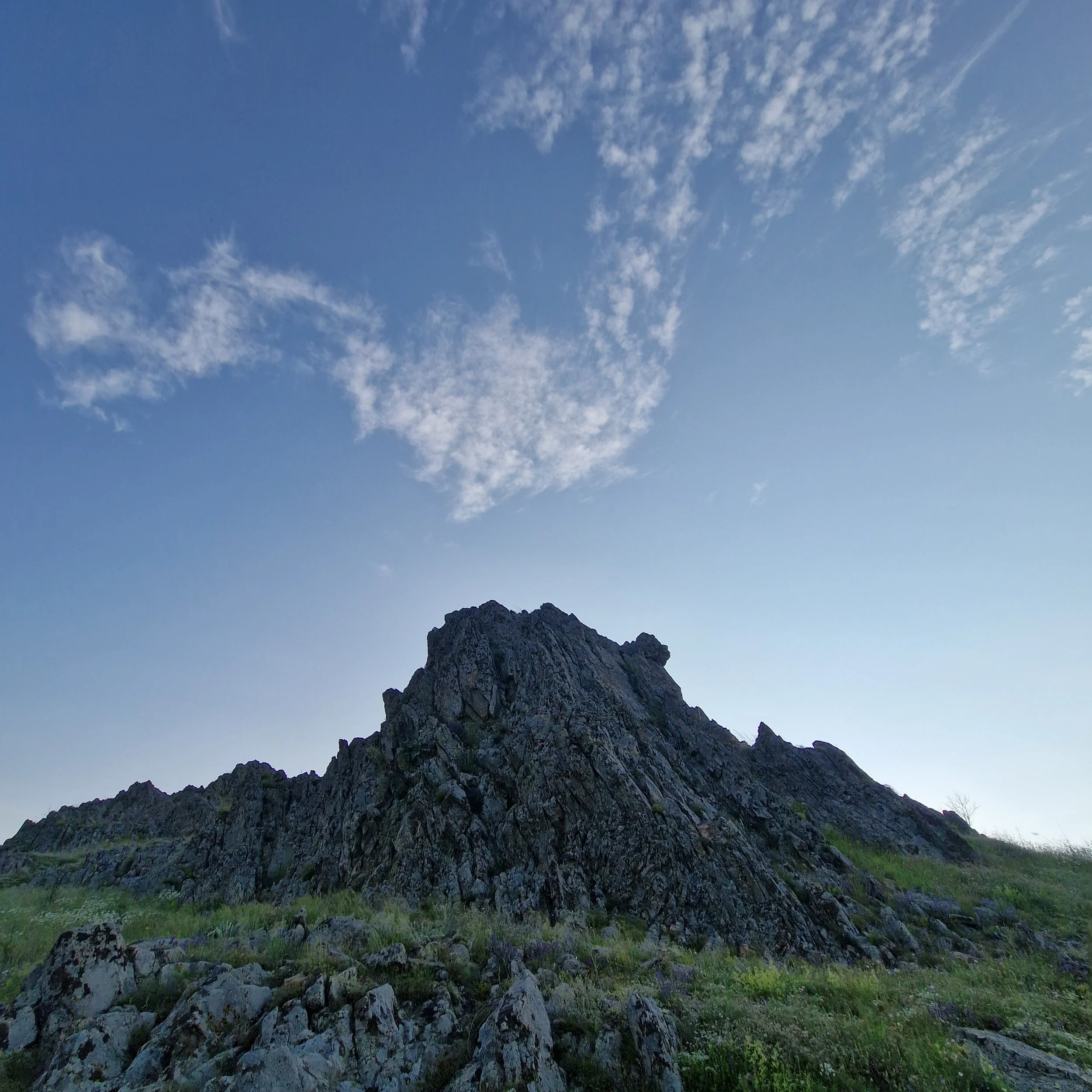 Blog — Mojca Fo Art