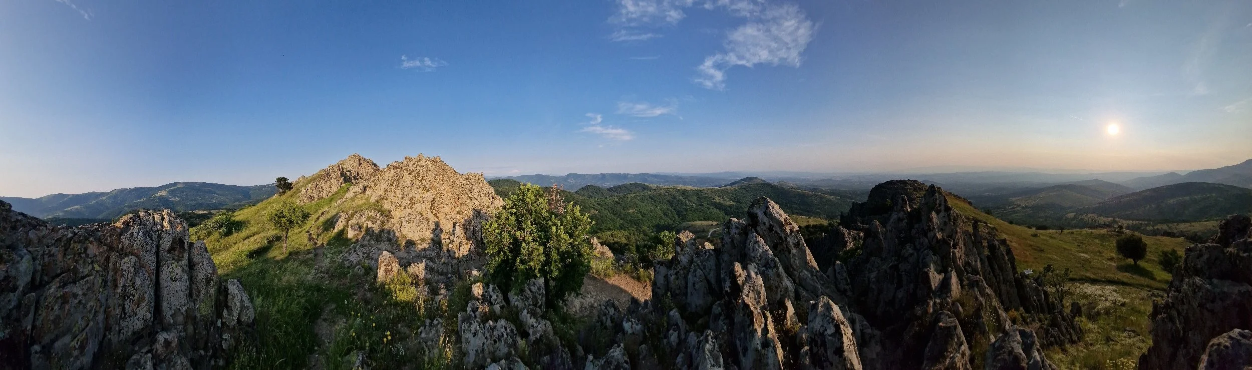 Blog — Mojca Fo Art